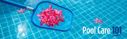 Pool Temperature: Ideal Swimming Pool Temperature | Pool Marvel