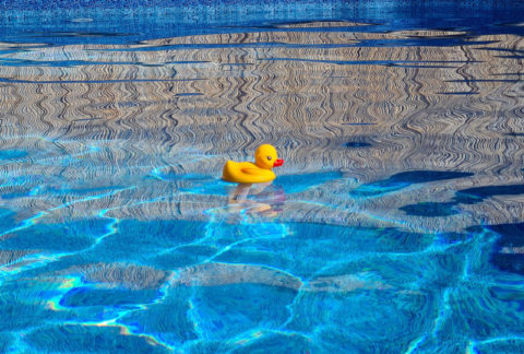 Pool Temperature: Ideal Swimming Pool Temperature | Pool Marvel